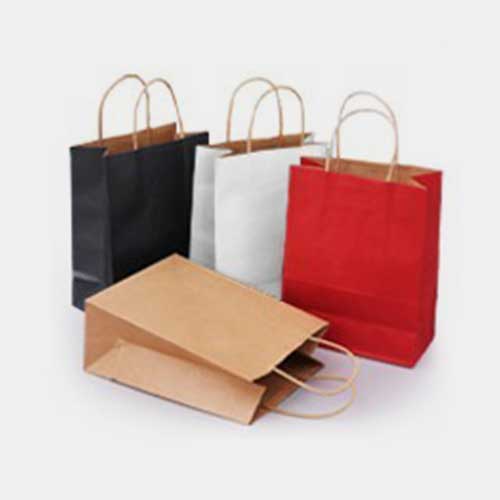 Twisted Handle Paper Bags – DISPLAY CANADA