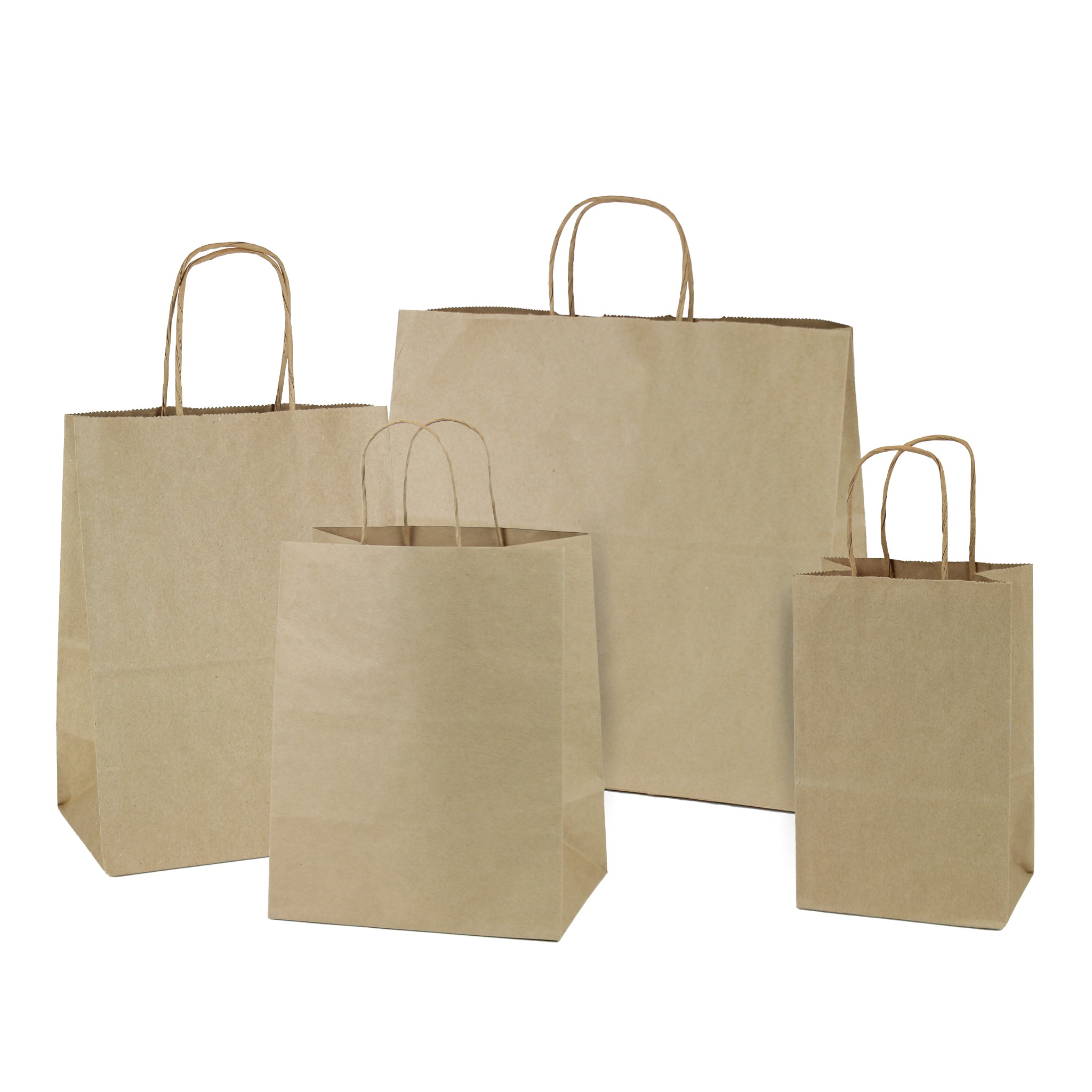 Kraft Twisted Paper Handles Paper Bag (100 pcs) – DISPLAY CANADA