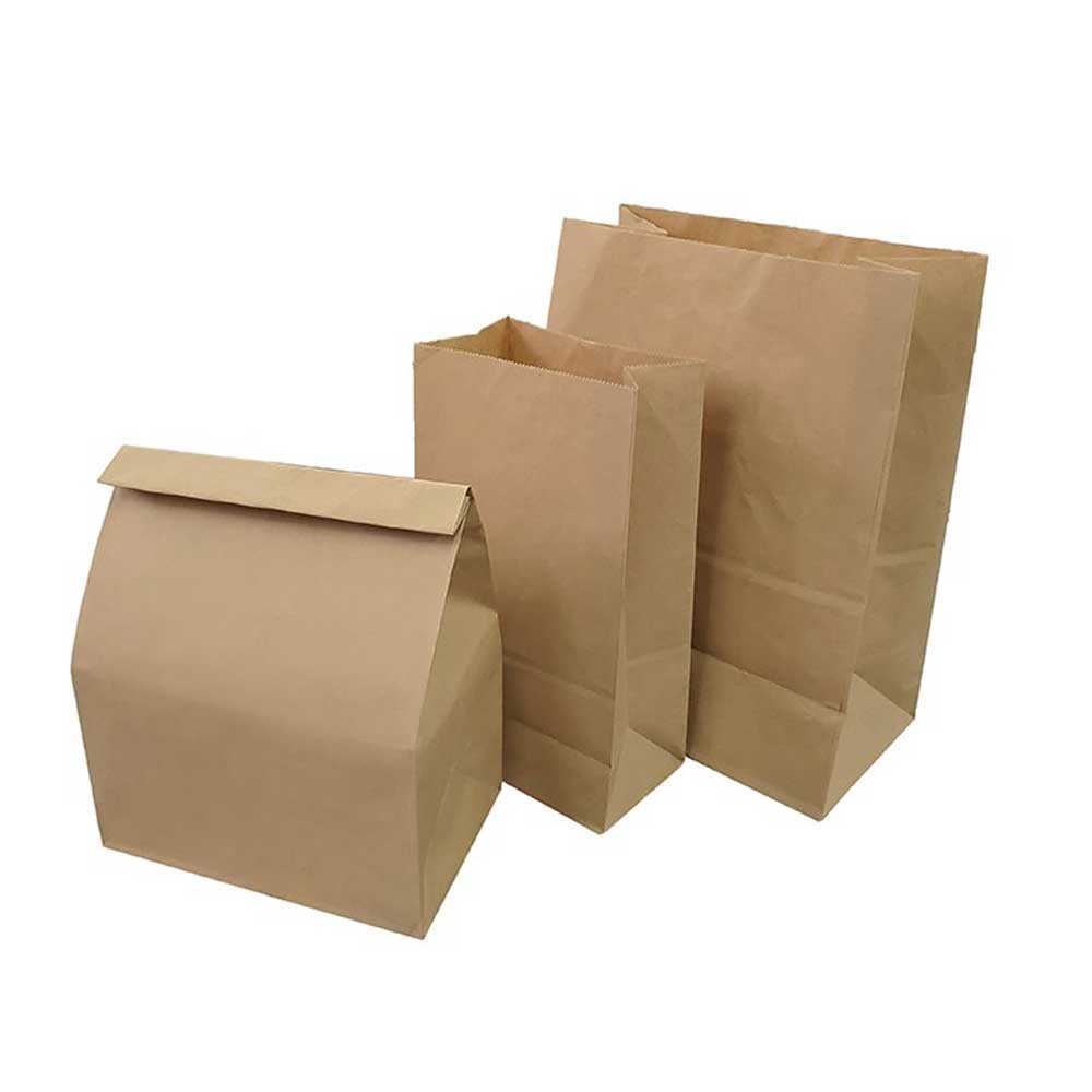 200-Pack Kraft Grocery Paper Bags – Merchandise & Retail Bags – DISPLAY ...